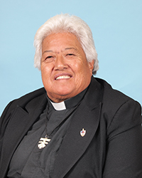 Board Members - Papawai & Kaikokirikiri Trusts